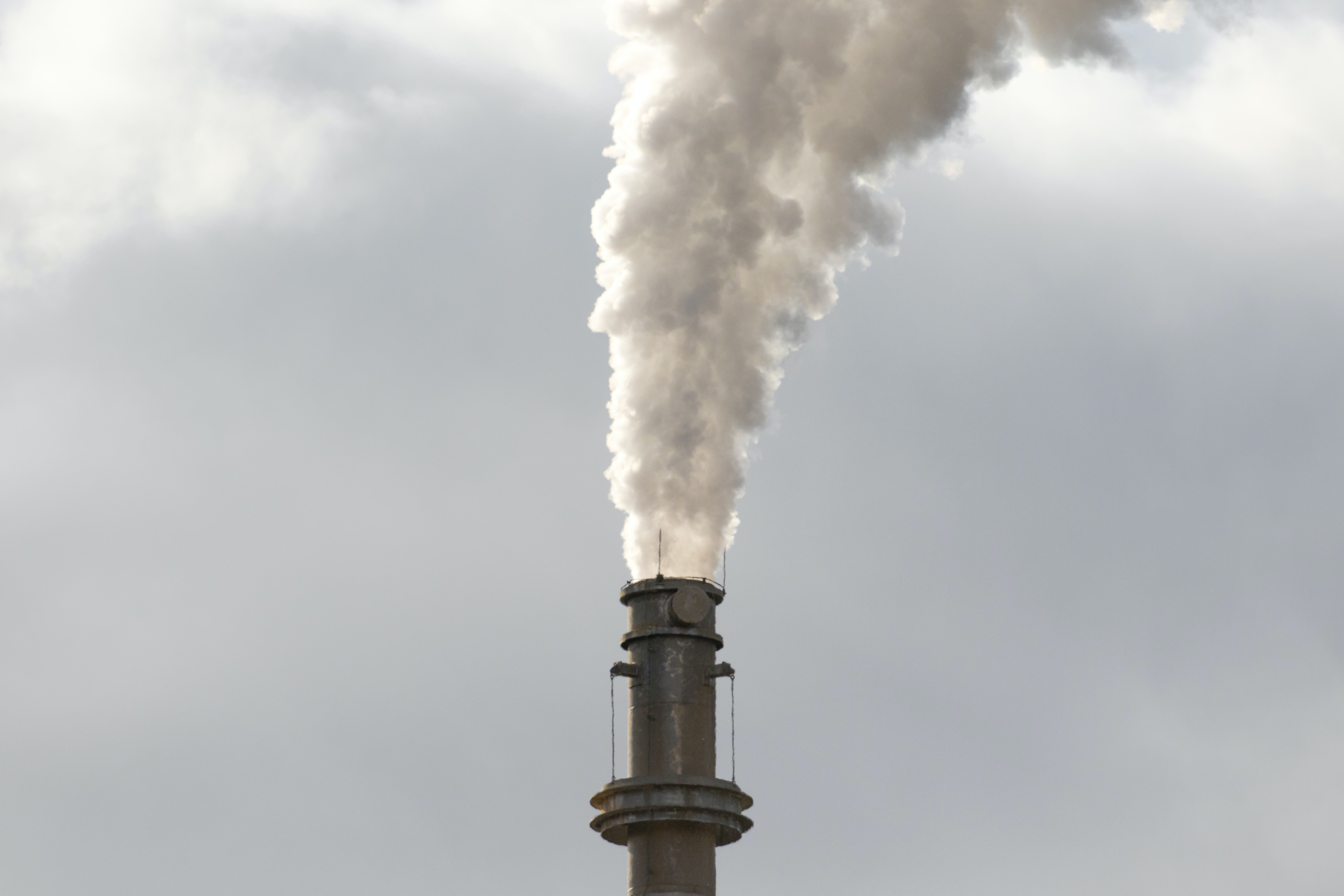 Clean Air Day: Why we must tackle the issue of air pollution | MFMac