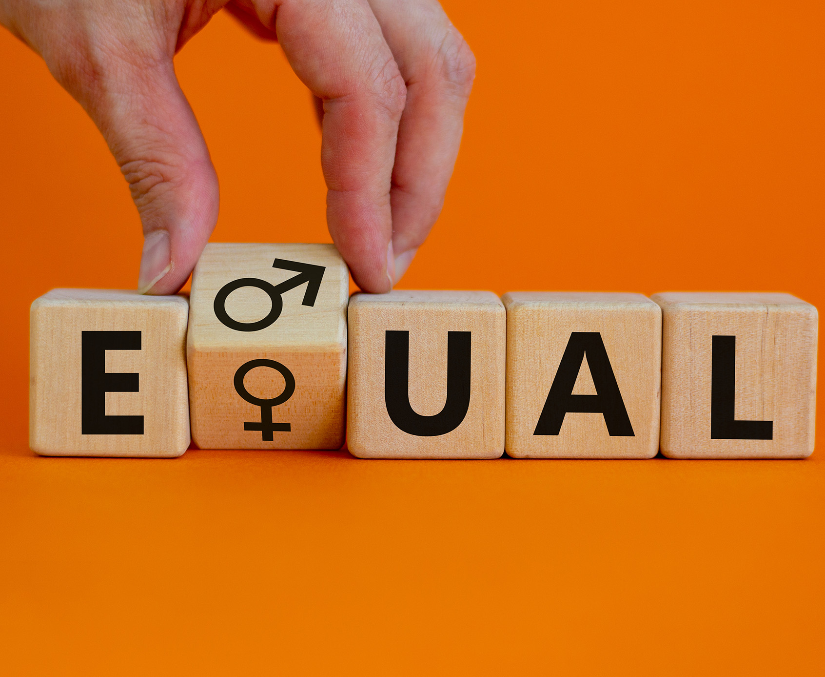 Winter Equality News Round Up | MFMac
